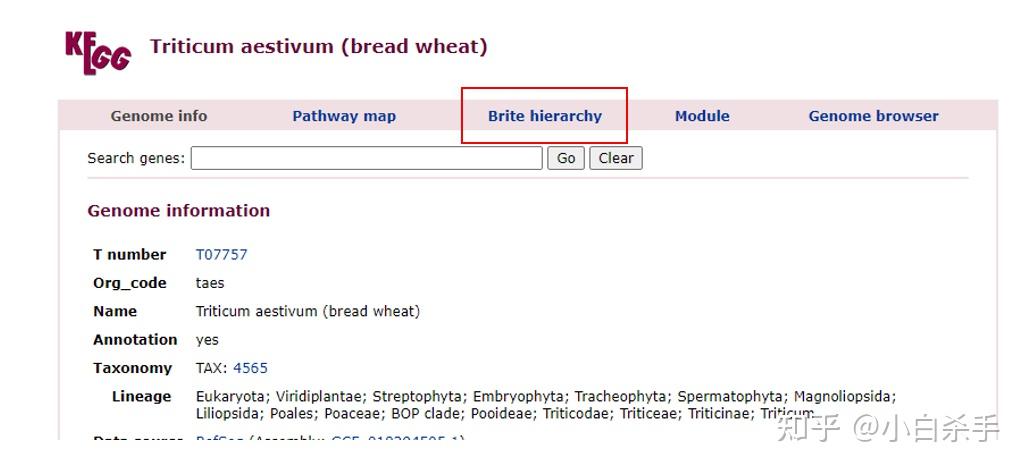 如何获取GO和KEGG注释、描述信息 - 知乎