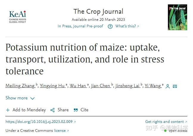 The Crop Journal | 中国农业大学综述玉米钾养分高效的分子机制研究进展 - 知乎