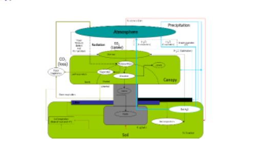 Biome-BGC生态系统模型与Python融合技术应用、CMIP6数据处理方法与分析 - 知乎