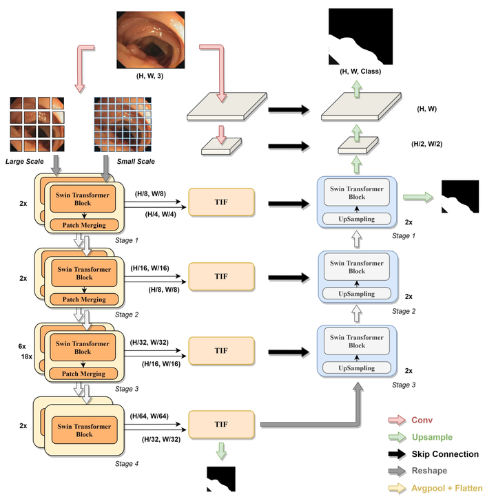 DS-TransUNet：医学图像分割的双Swin Transformer U-Net - 知乎
