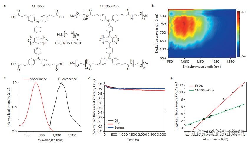 前沿热点：近红外小动物活体成像 - 知乎