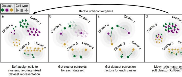 SCS【23】单细胞转录组之数据整合 (Harmony) - 知乎