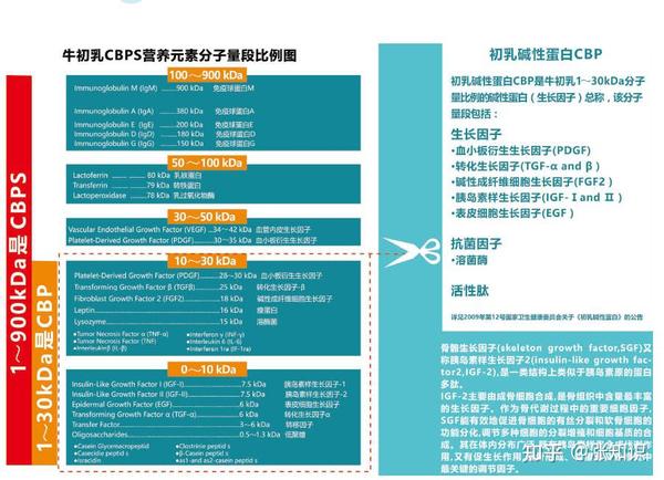 CBPS科普：牛初乳1-900kDa分子量比例图解 - 知乎