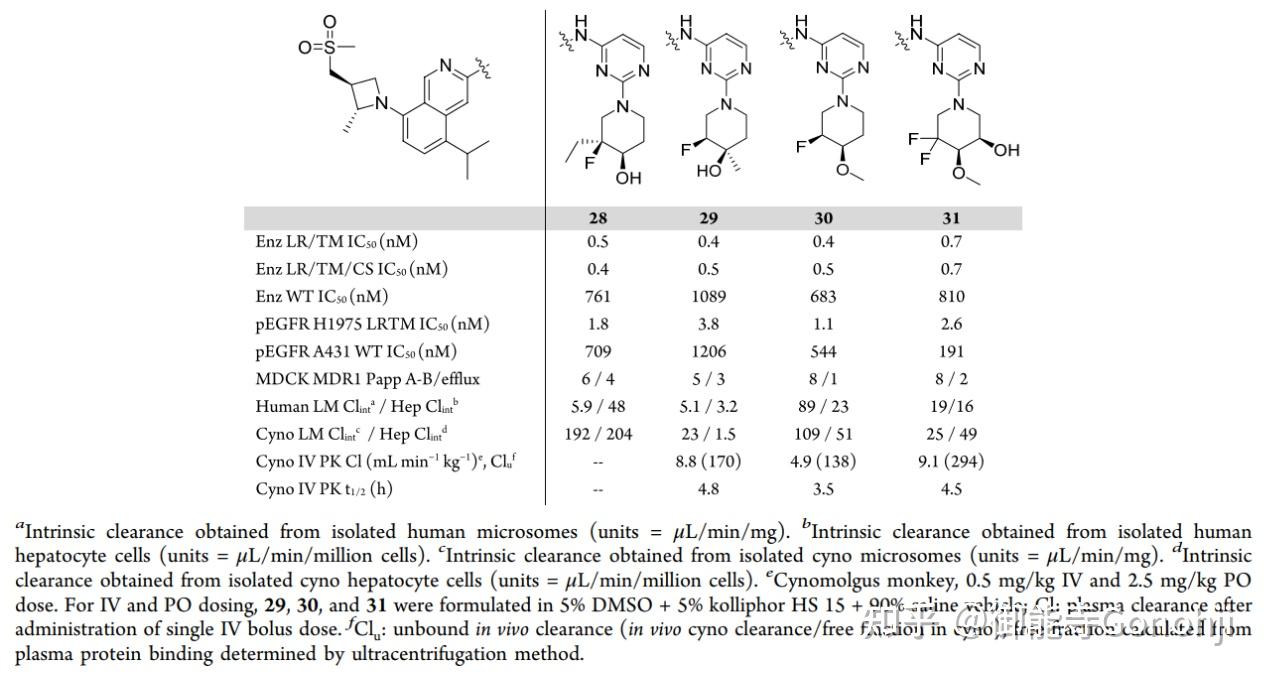 新型EGFR靶向BLU-945的研发之路 - 知乎