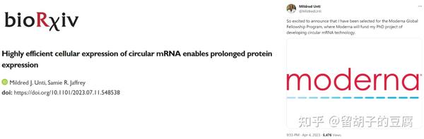 VLP递送Tornado系统表达的circRNA,实现更长久的蛋白表达 - 知乎