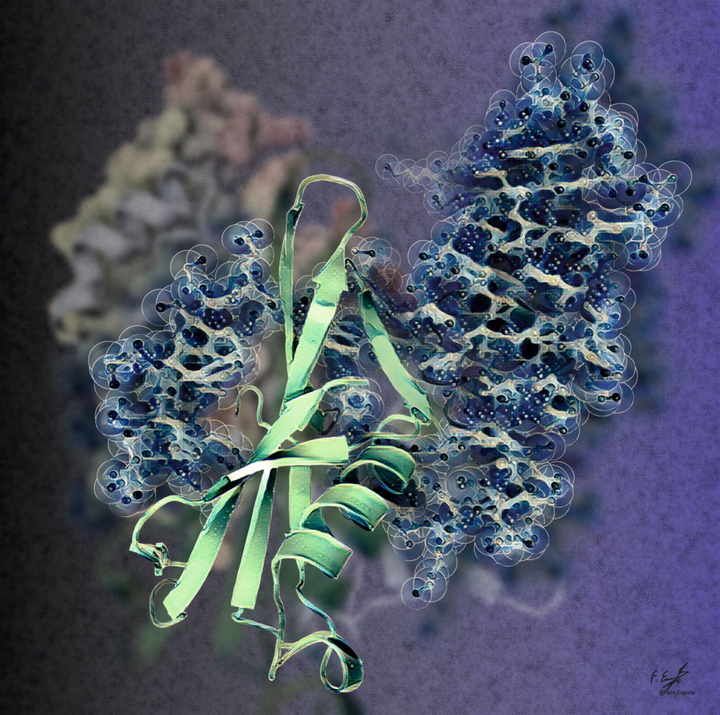 Nat. Biotechnol. | Progen：大型语言模型产生跨不同家族的功能性蛋白质序列 - 知乎