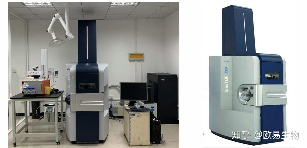 Nat Comm | 基于PASEF-DIA技术的新冠肺炎免疫应答机制研究 - 知乎