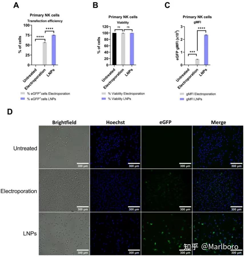 NK细胞的mRNA-LNP制剂筛选和优化 - 知乎