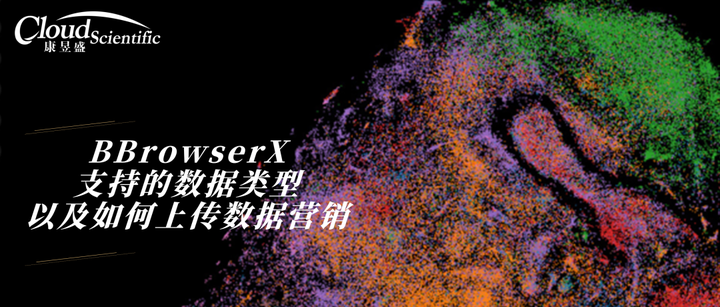 如何在BBrowserX上传单细胞转录组数据进行分析 - 知乎