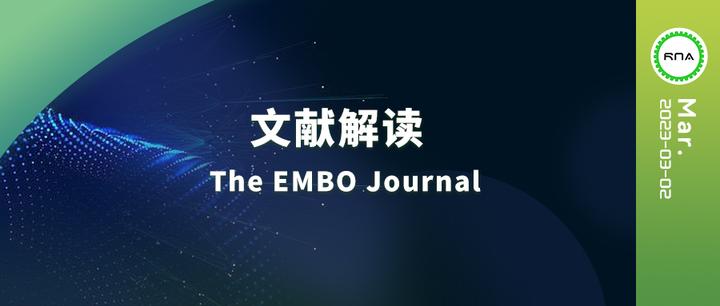 EMBO J | 新发现！circRNA可以调控肠道干细胞的自我更新 - 知乎