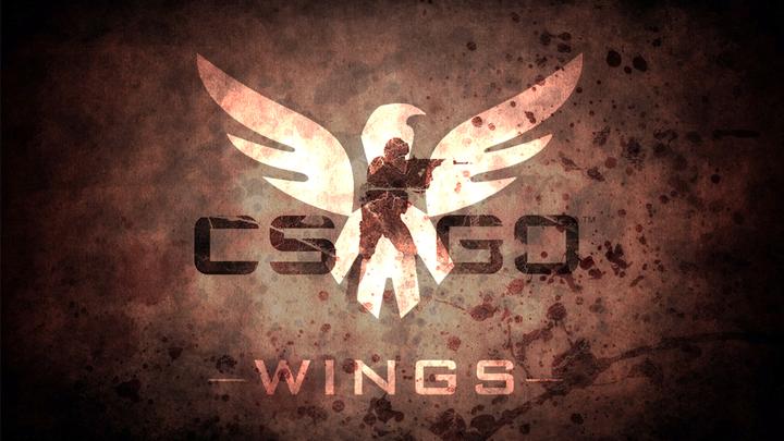 未来属于年轻战士，Wings CSGO整装待发 - 知乎