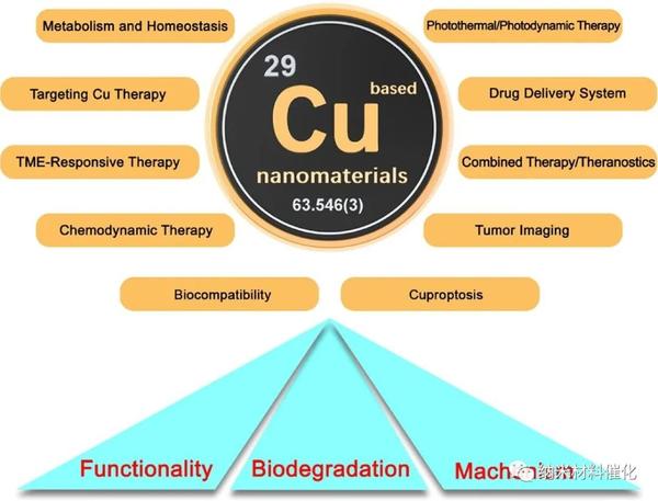 【Prog.Mater.Sci】癌症治疗中的铜时代：从铜代谢到铜凋亡 - 知乎