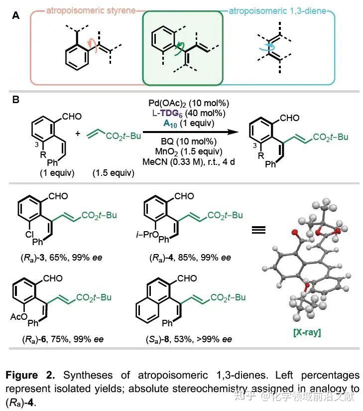 Angew：Pd(II)催化瞬态导向基导向的C(alkenyl)–H活化反应 - 知乎