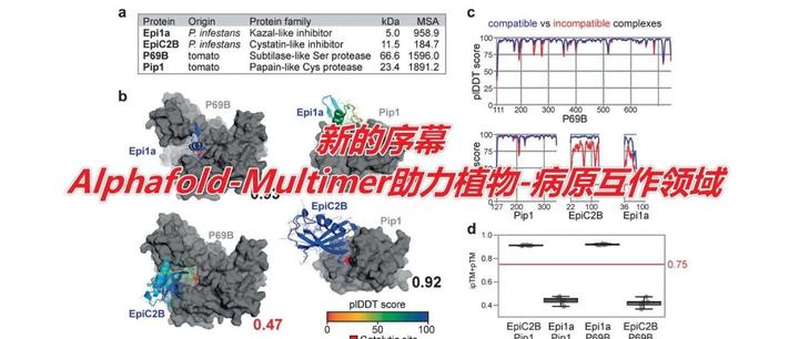 新的序幕 | Alphafold-Multimer助力植物-病原互作领域 - 知乎