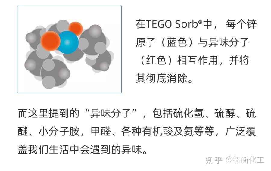 TEGO Sorb植物源高效去味除臭 原理除臭原理是这样的！ - 知乎