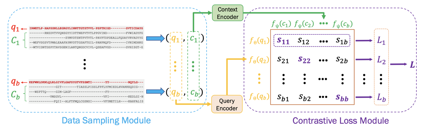 fastMSA：一种高效的蛋白质多序列比对（MSA）方法 - 知乎