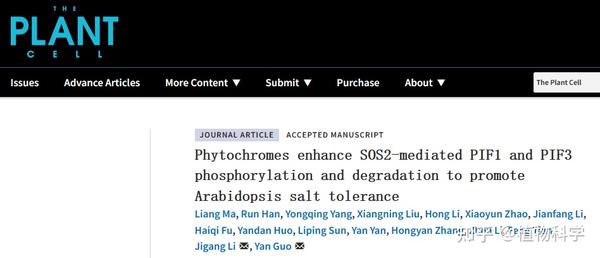 Plant Cell | 中国农业大学郭岩/李继刚团队合作揭示phy-SOS2-PIF分子模块调控植物耐盐的分子机制 - 知乎