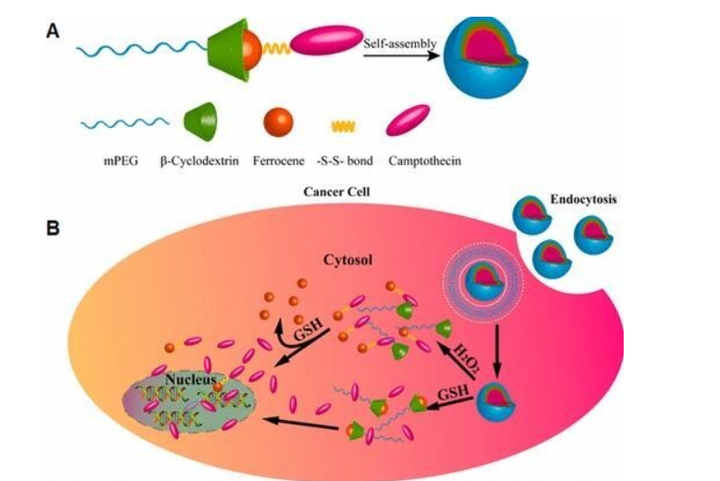 DSPE-PEG-DOC 磷脂-聚乙二醇-多西他赛 - 知乎