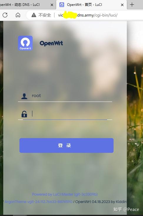 如何在OpenWrt中使用DDNS服务——以dynv6为例 - 知乎