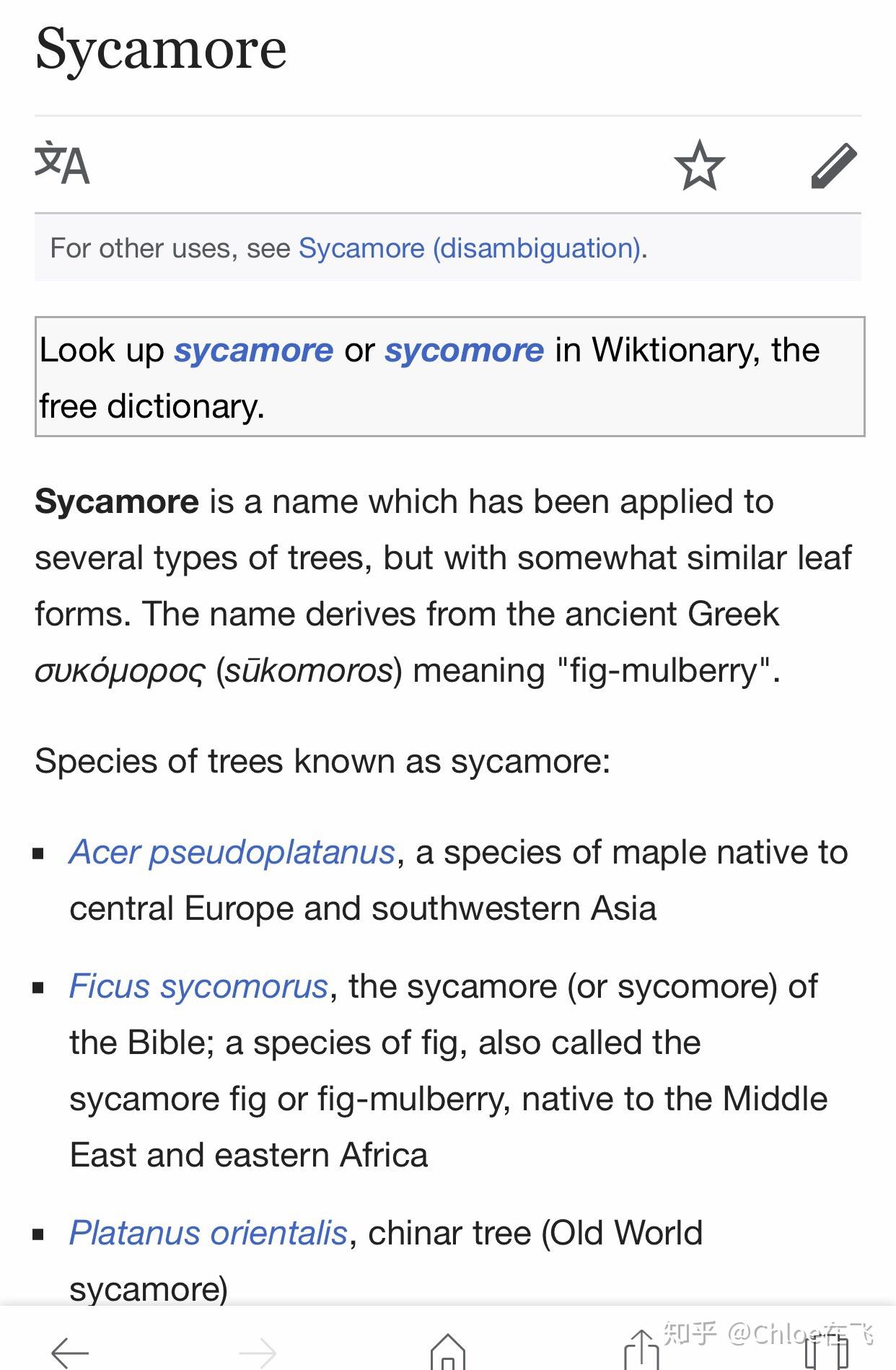 为什么《怦然心动 (Filpped)》中把「The Sycamore tree」译为「无花果树」？ - 知乎