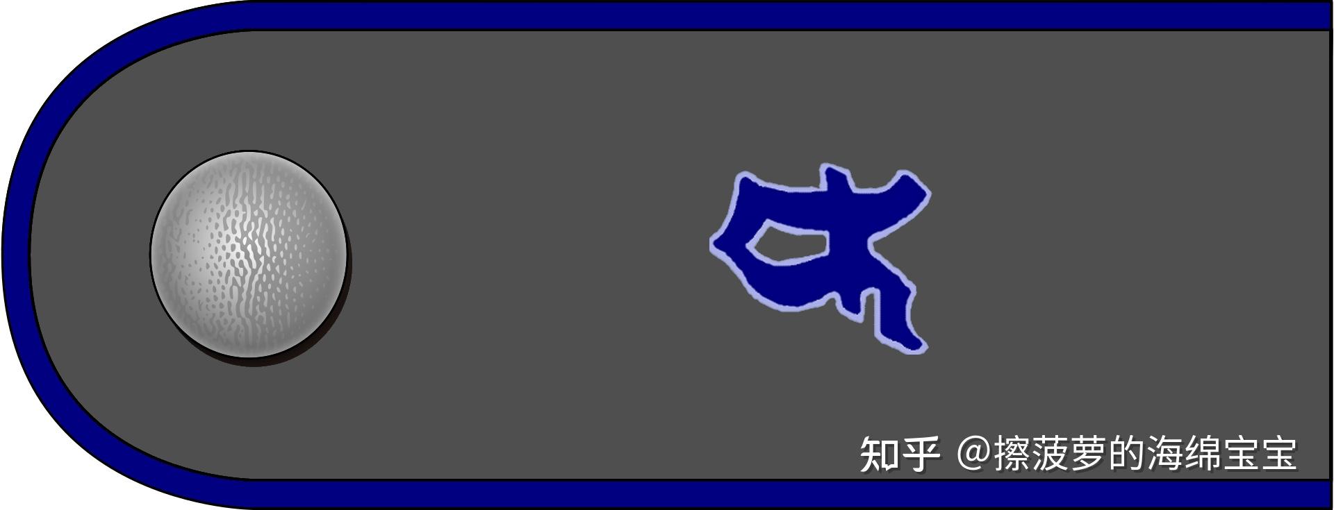 二战德国国防军医疗兵军衔标志 - 知乎