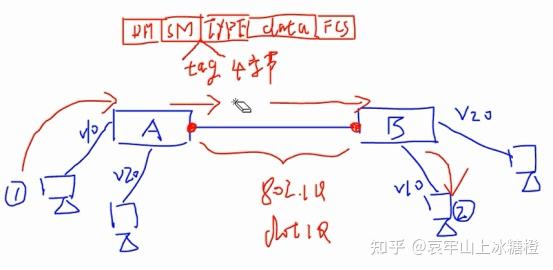 Trunk——802.1Q标识 - 知乎