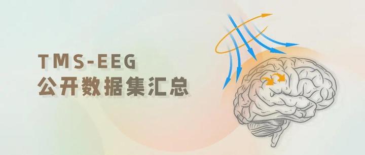 TMS-EEG公开数据集汇总 - 知乎