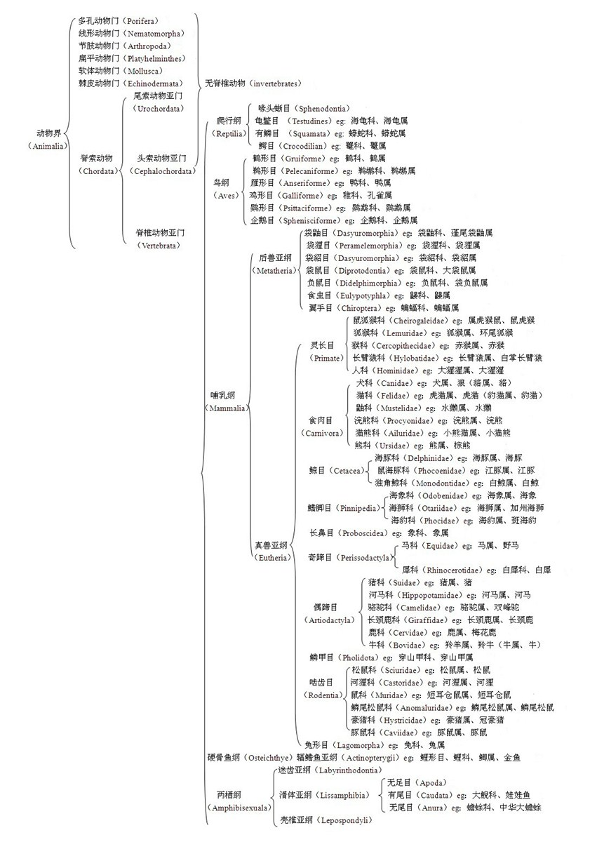 现在的生物分类到底是怎样的? 知乎