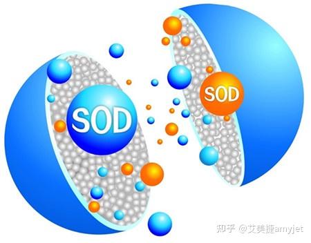 多规格超氧岐化酶SOD检测试剂盒 - 知乎
