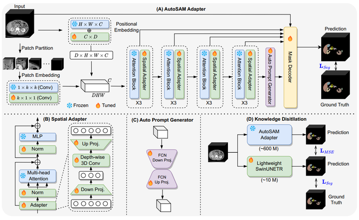 首个！AutoSAM Adapter：自动提示SAM以实现强大的3D医学图像分割 - 知乎