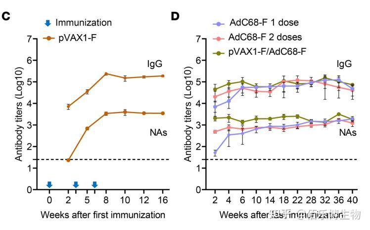权威验证！AntibodySystem尼帕病毒（Nipah virus, NiV）相关产品被全球顶尖科研机构广泛引用 - 知乎