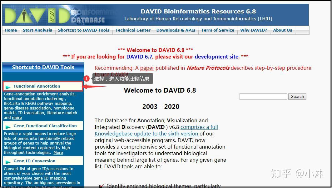 DAVID资源库--“生信分析”基础三 - 知乎