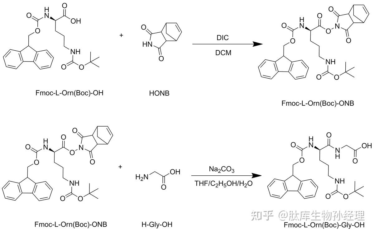 Fmoc-L-Orn（Boc）-Gly-OH的合成工艺研究 - 知乎