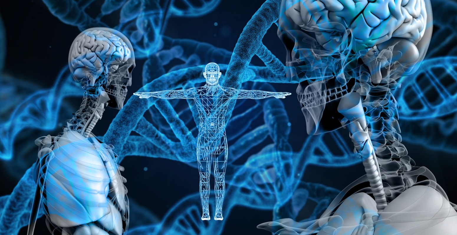 Can Cell | 哈佛医学院揭示肿瘤免疫原性决定免疫治疗对TCF1的依赖性 - 知乎