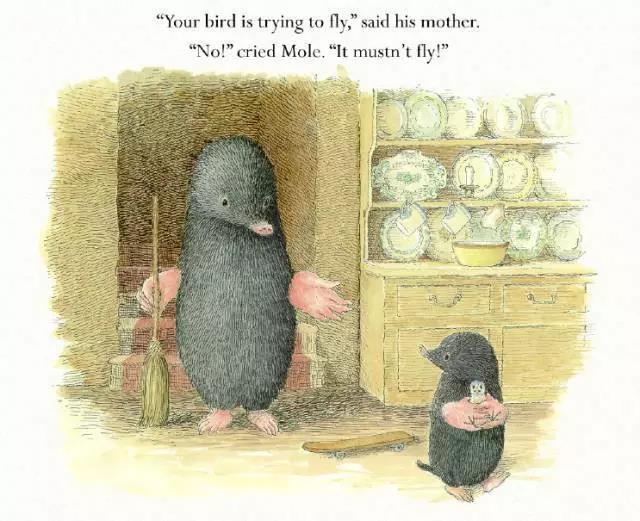 绘本故事 | Mole And The Baby Bird - 知乎