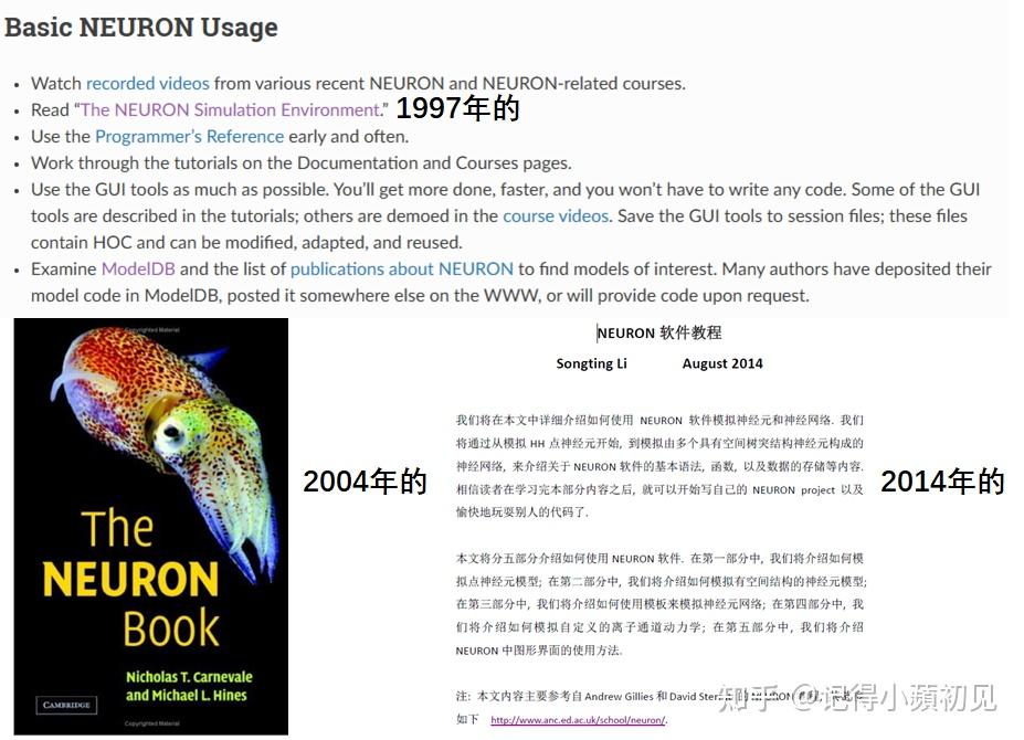 细说我用过的三款计算神经科学软件：Brian2、BrainPy和NEURON - 知乎