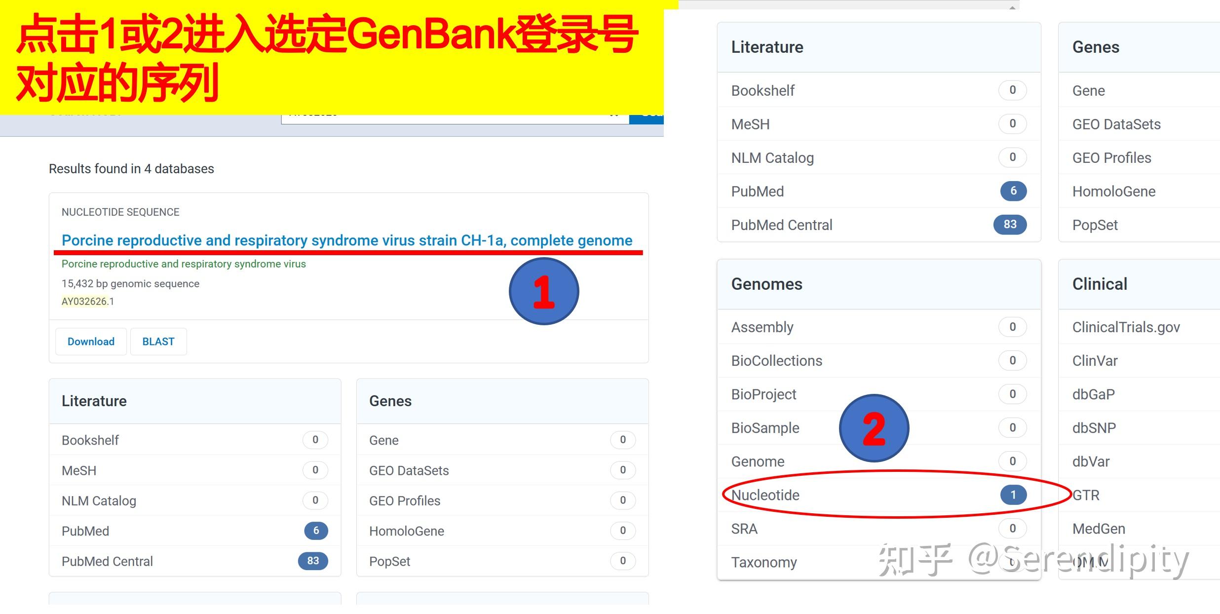 怎么用genbank查找基因序列？ - 知乎