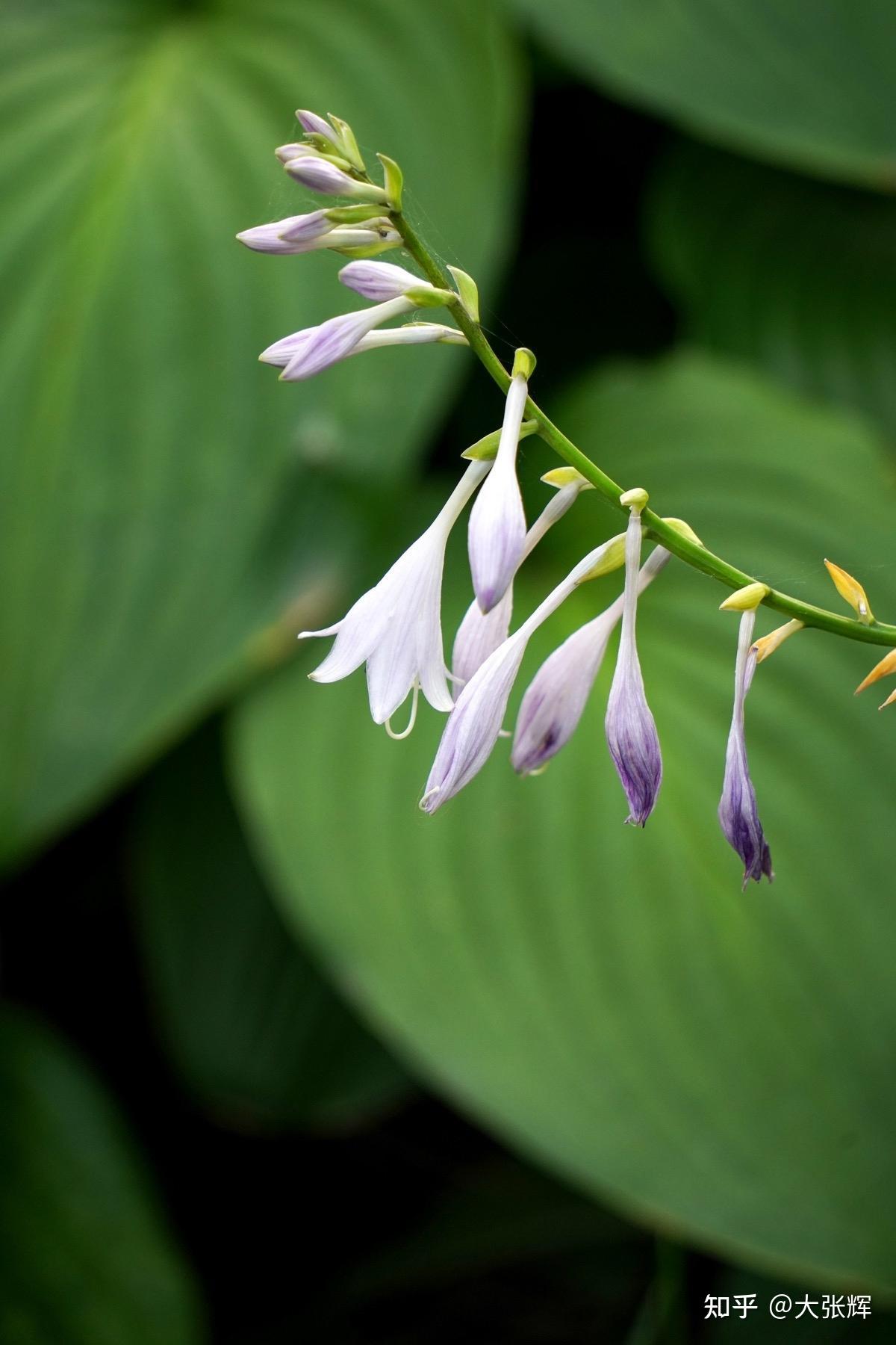 索尼24105和腾龙28200该怎么选?