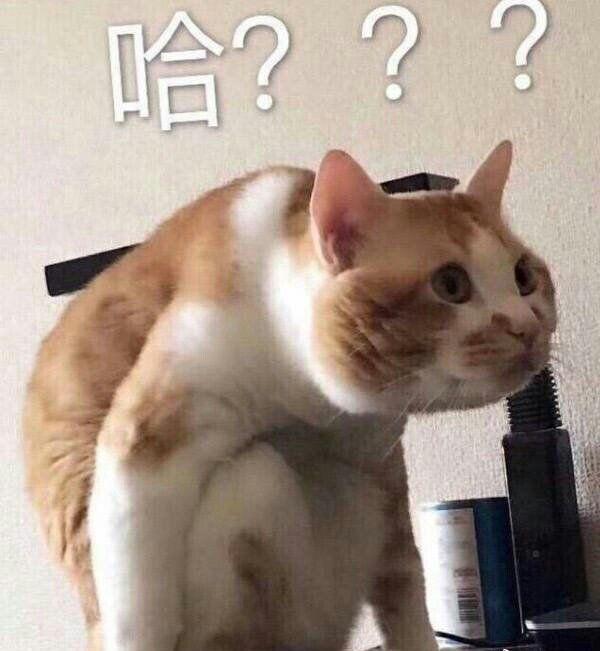 大家,有没有猫的沙雕表情包? 知乎