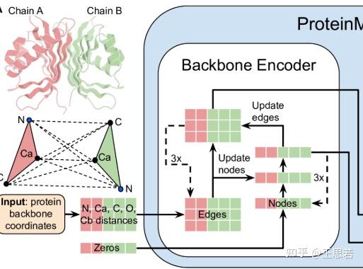 【蛋白质序列设计】Rosetta MPNN架构详解 - 知乎