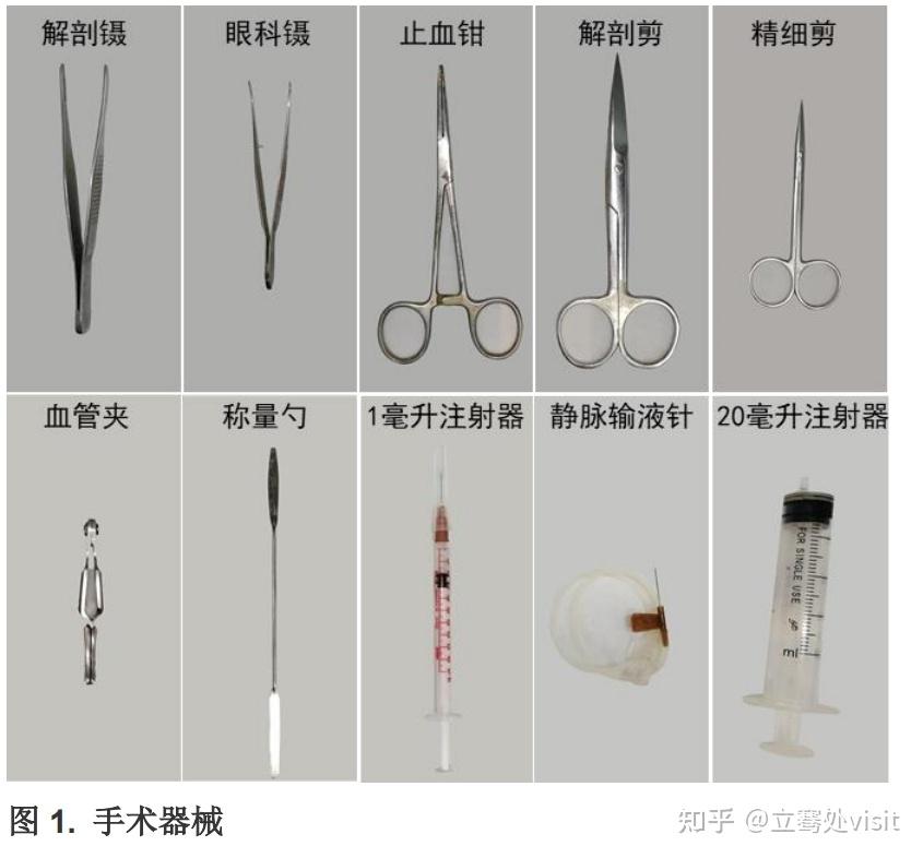 小鼠心脏灌流、脑组织解剖与固定 - 知乎