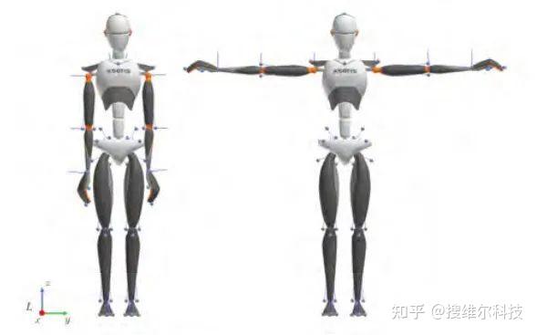 【技术分享】Xsens MVN: 高精度惯性动作捕捉系统，步行和跑步精确度分析 - 知乎