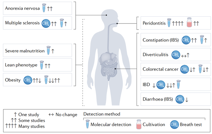 重磅综述|Nat Rev Gastroenterol Hepatol：人类胃肠道中的产甲烷古菌 - 知乎