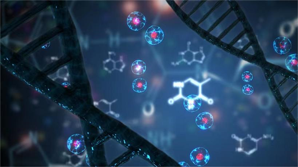Nature | R-环衍生的RNA-DNA杂交体激活免疫应答 - 知乎