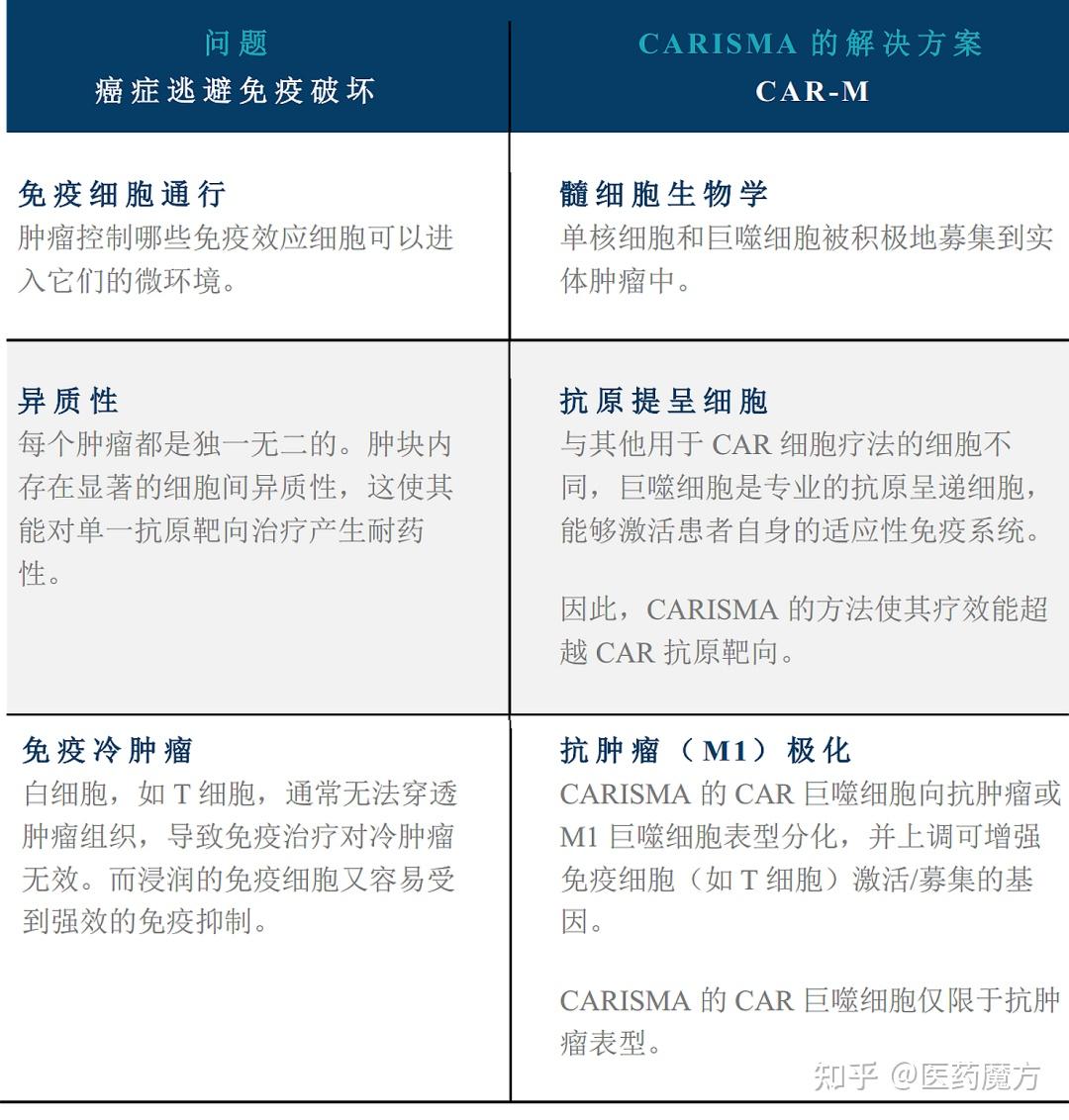 里程碑！CAR-M疗法首次应用于人体研究，目标是HER2阳性实体瘤 - 知乎