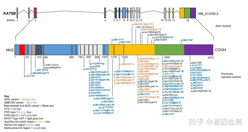 KAT6B基因关联表型差异 - 知乎
