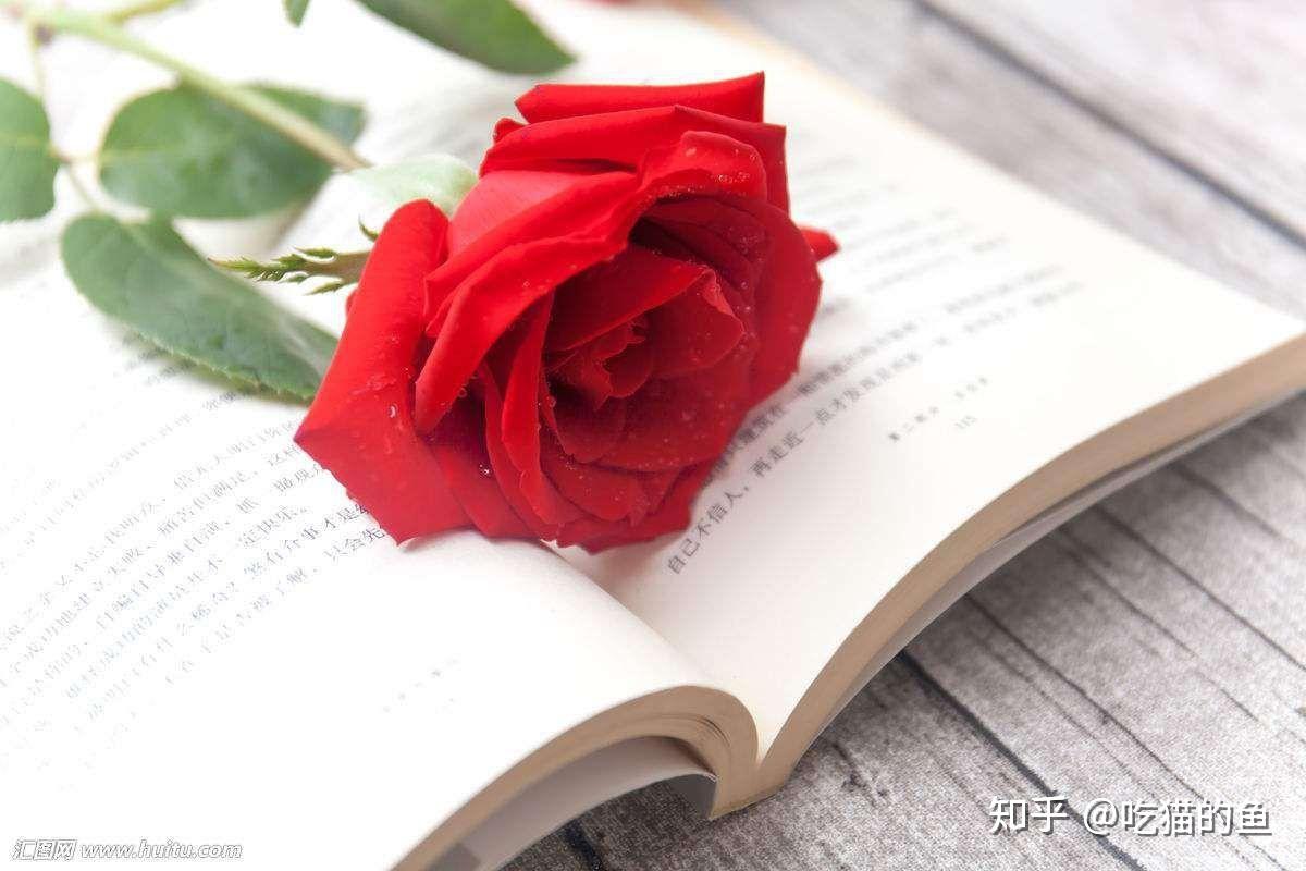 关于爱情 - 知乎