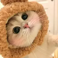 盘古药物分子大模型 Pangu Drug Molecule Model - 知乎