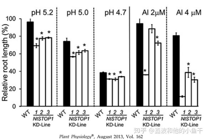 抗酸性土壤铝毒害的关键转录因子——STOP1 - 知乎
