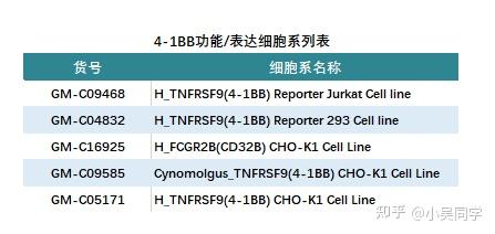 T细胞共刺激靶标：4-1BB - 知乎